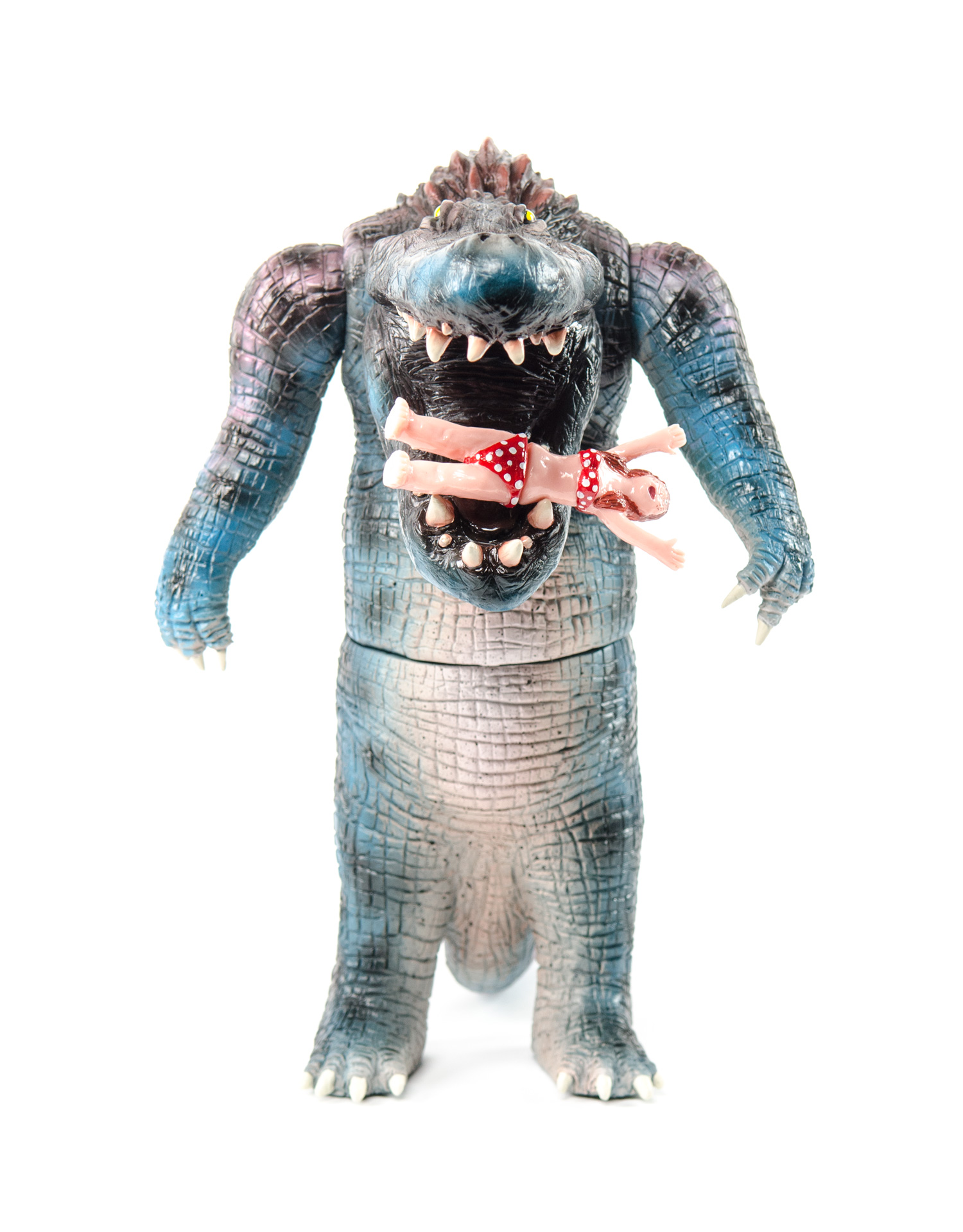 BLUE SKINK TWO TOED TOM